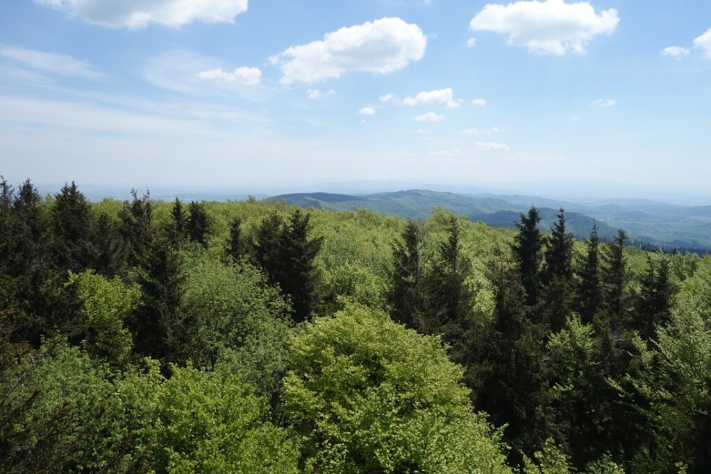 Kalenica – Góry Sowie po raz pierwszy. - Huncwot na gigancie, czyli ...